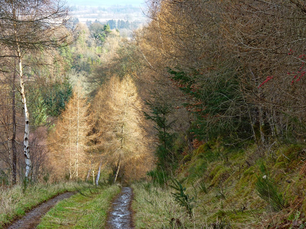 Crieff Paths Group announces work party dates for 2016 - Crieff ...